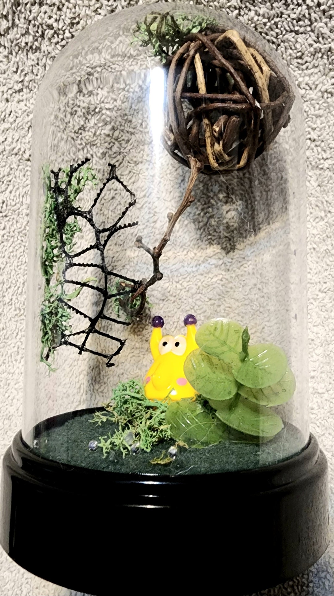 Jumping Spider Enclosure 6.5x3 Decorated Alien Encounter 1 FREE ...