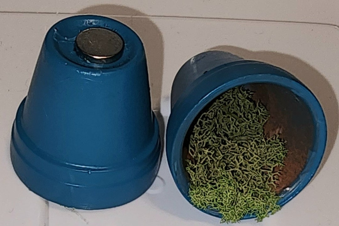 Jumping Spider Magnetic Flowerpot Hide (S) Multiple Color Choices - Etsy