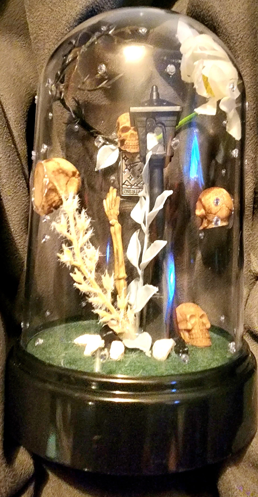 Jumping Spider Enclosure 6.5x3 Decorated Spooky Skulls FREE - Etsy