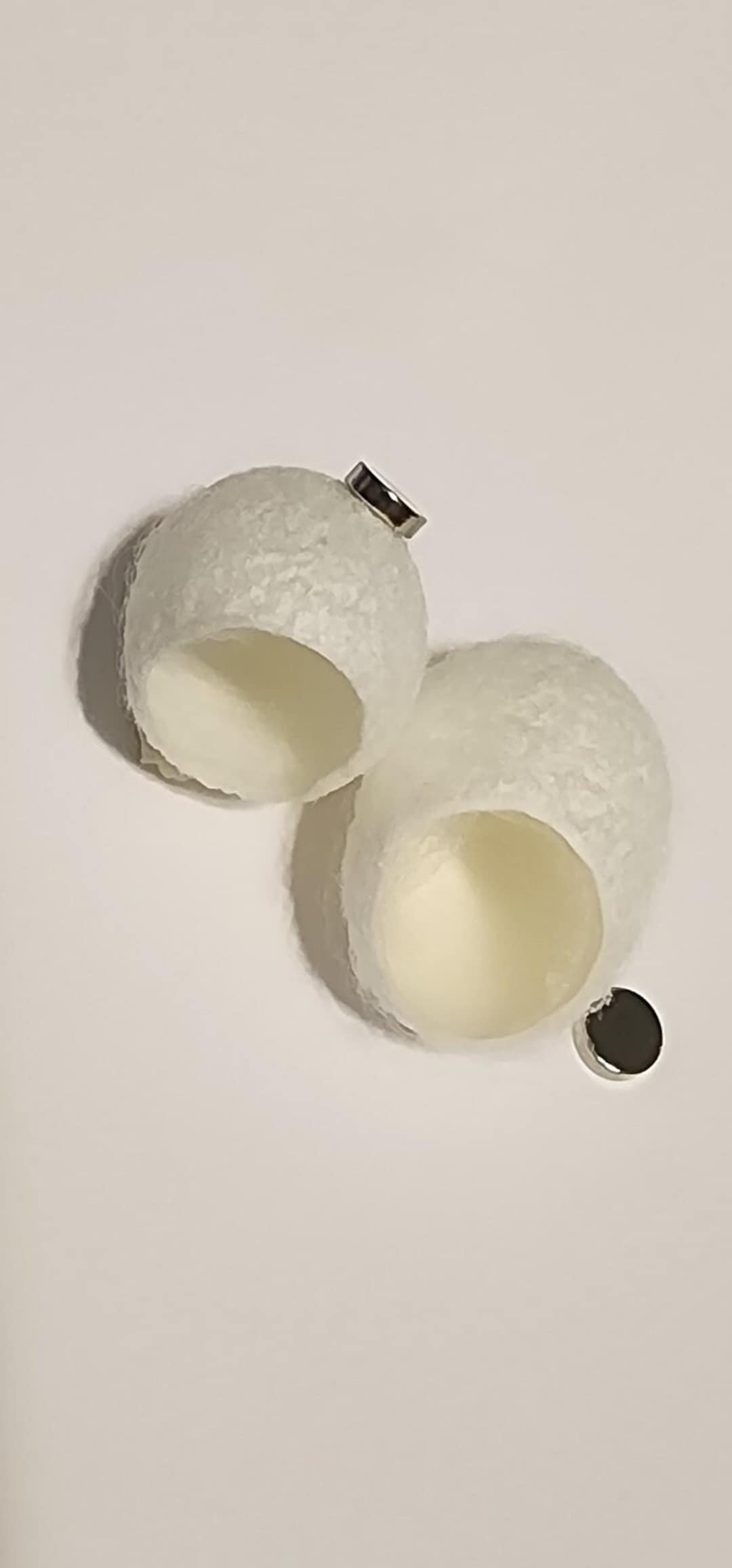 Silk Cocoon Hide for Jumping Spiders, 2 Options - Etsy