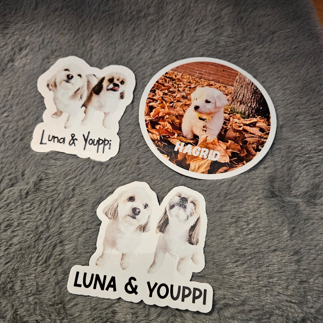 Pet Stickers, Custom Dog Stickers, Decal of Pet - Etsy