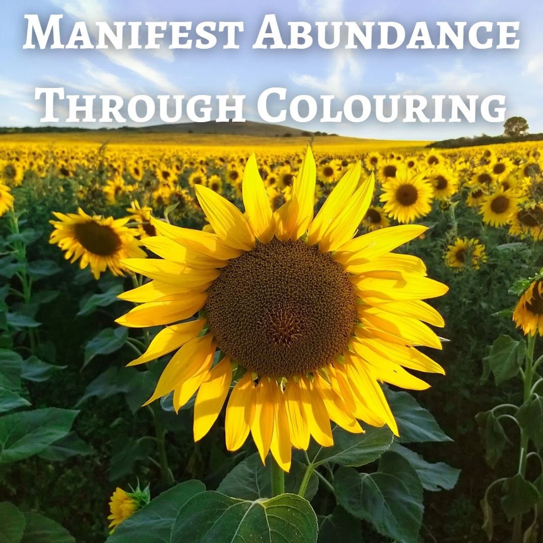 Manifest Abundance Affirmation Coloring Pages - Etsy