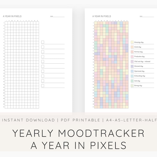 A Year in Pixels - Etsy