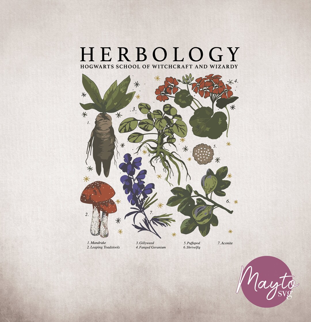 Wizard School Herbology Plants PNG (digital Download) - Etsy