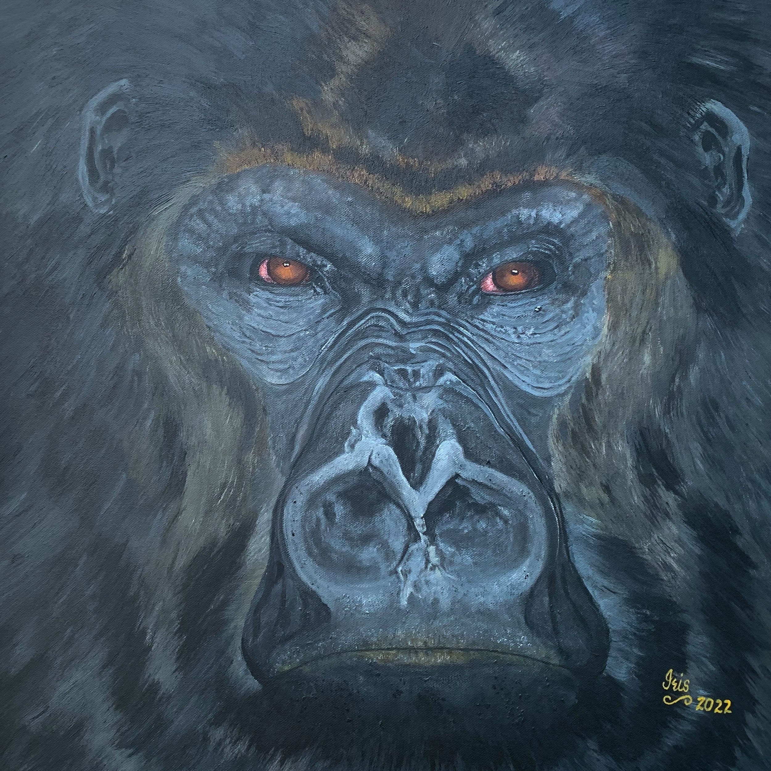 Angry Silverback Gorilla Face Drawing