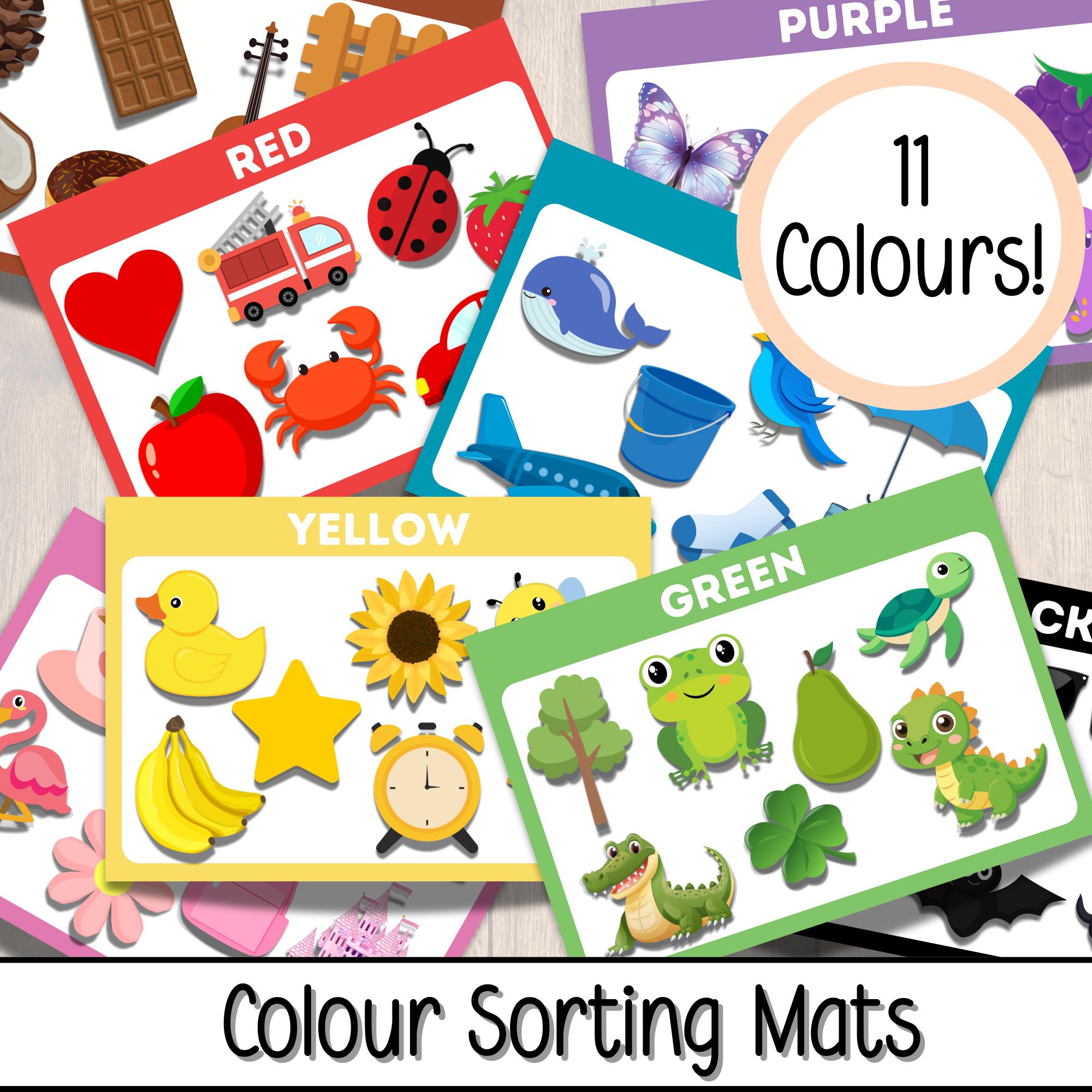 Color Sorting Activity Montessori Color Matching Learning Colors ...