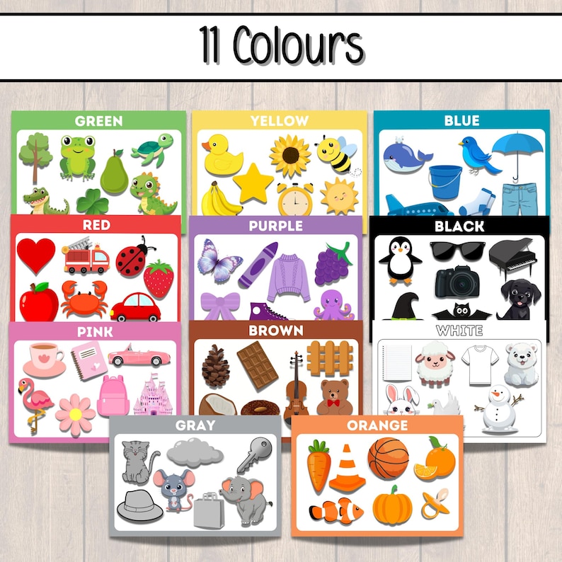 Color Sorting Activity Montessori Color Matching Learning Colors ...