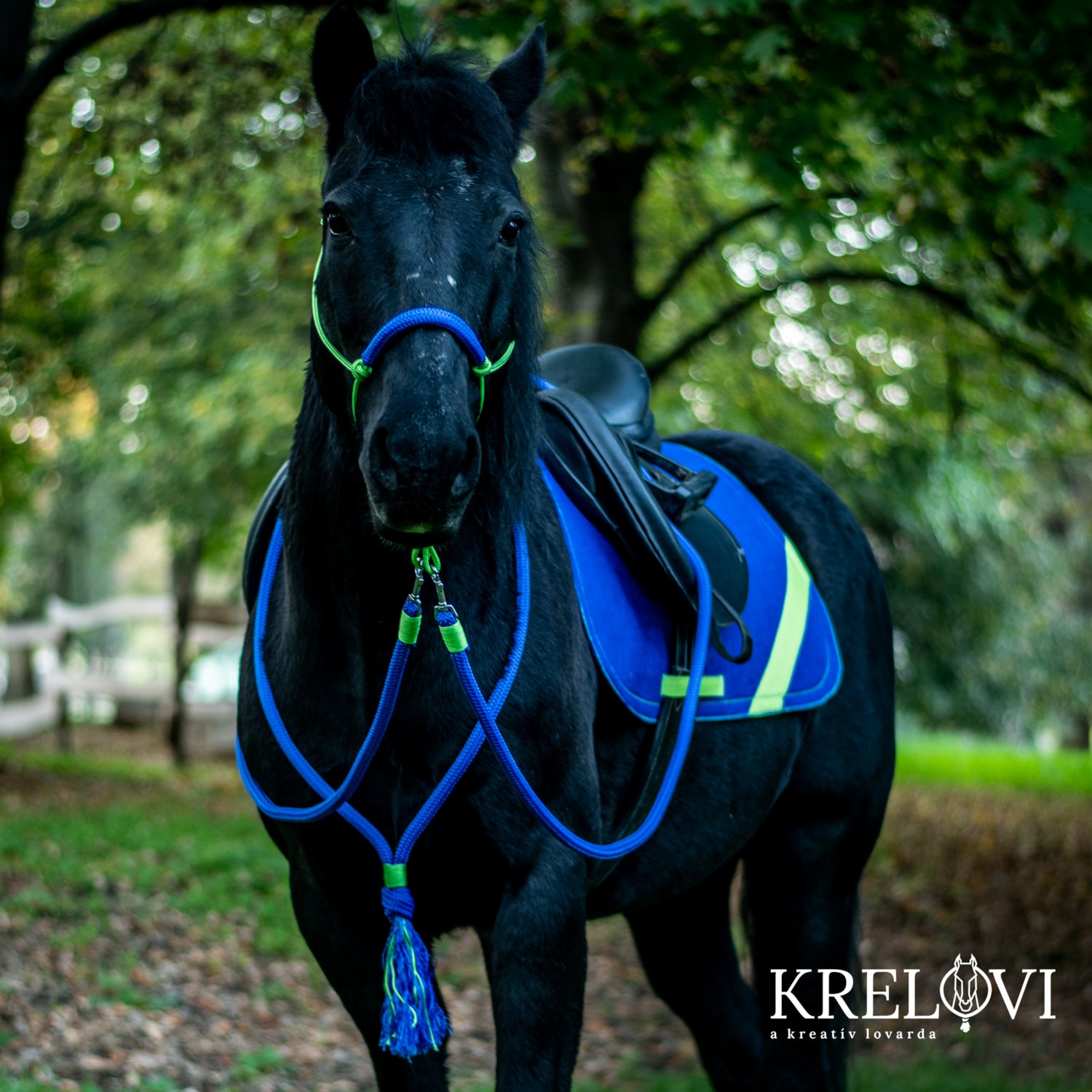 KRELOVI - Royal Blue-neon Green Set (rope Halter, Neck Rope, Rope Rein ...