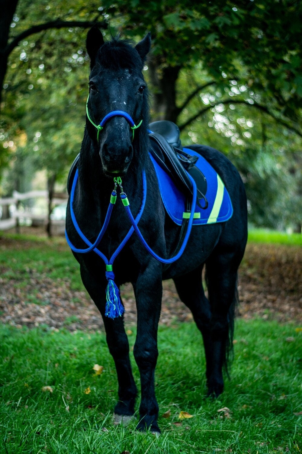 KRELOVI - Royal Blue-neon Green Set (rope Halter, Neck Rope, Rope Rein ...