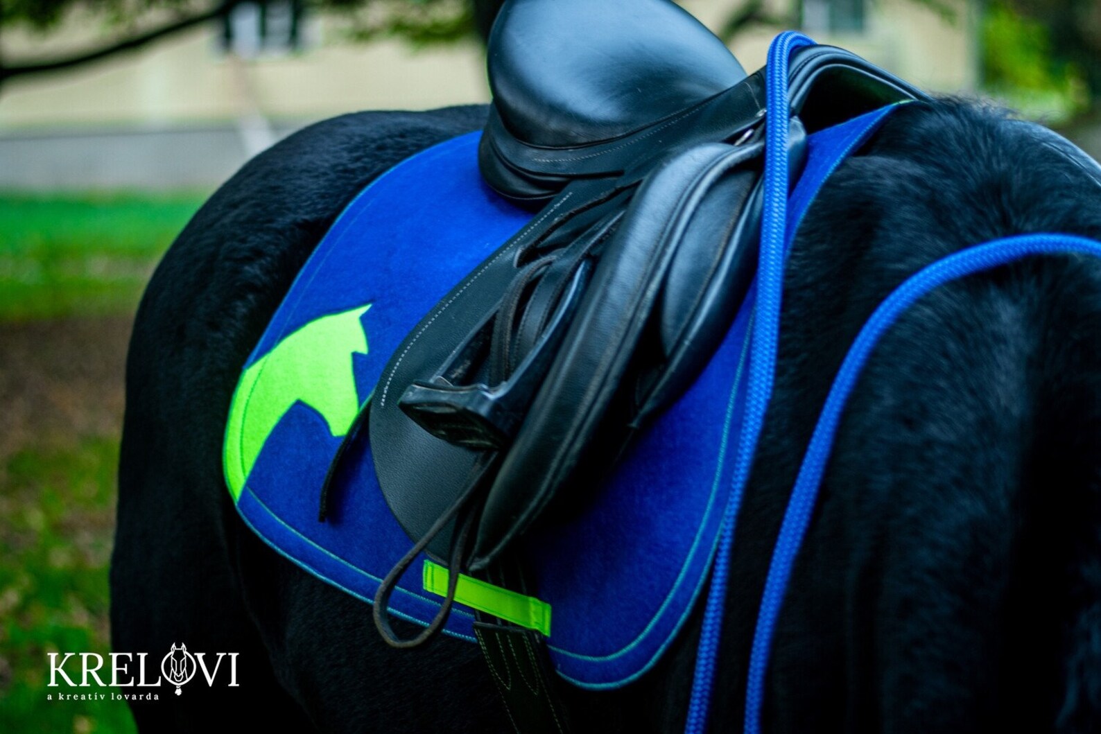 KRELOVI - Royal Blue-neon Green Set (rope Halter, Neck Rope, Rope Rein ...
