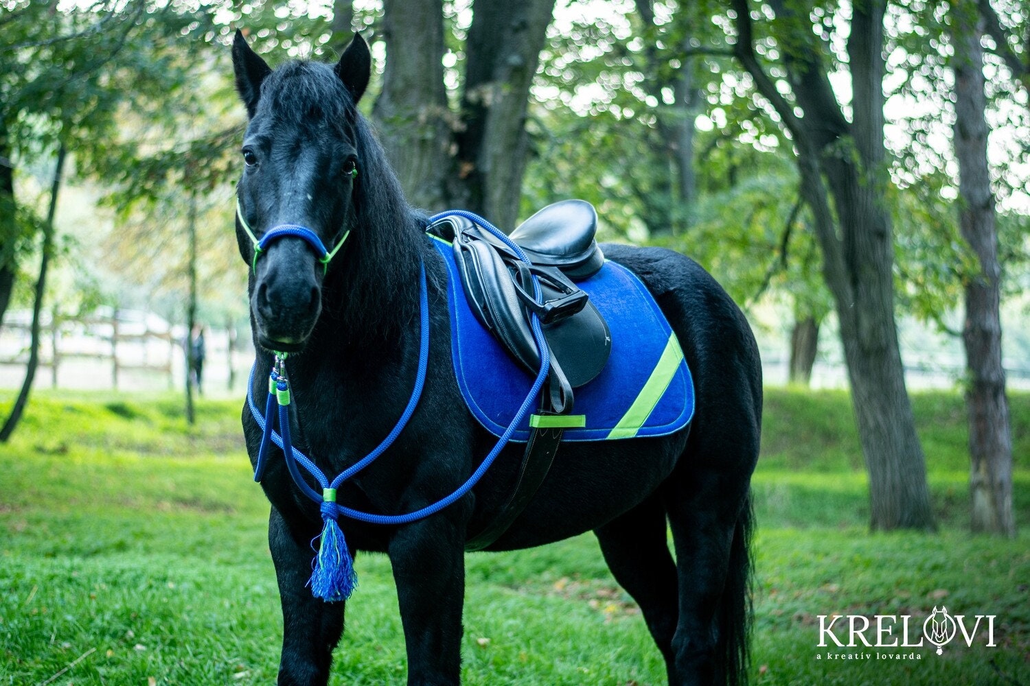 KRELOVI - Royal Blue-neon Green Set (rope Halter, Neck Rope, Rope Rein ...