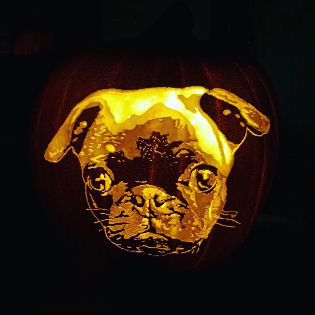 Custom Foam Pumpkin Carving, Craft Pumpkin Carving, Pet Portrait Foam ...