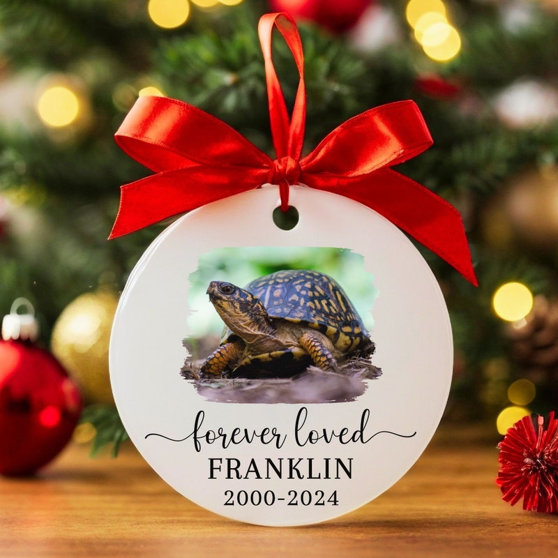 Turtle Decoration - Etsy