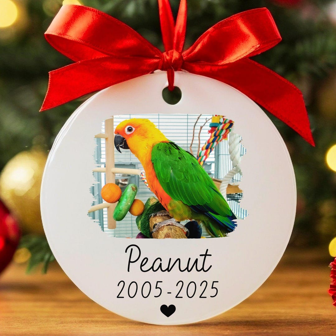 Custom Bird Memorial Ornament, Bird Memorial Gift, Parakeet Memorial ...