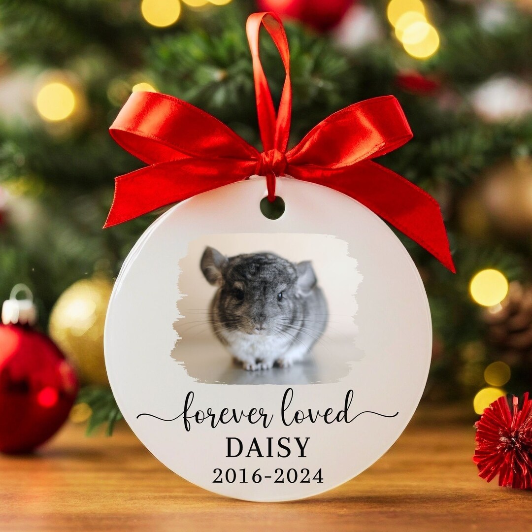 Custom Chinchilla Memorial Ornament, Chinchilla Ornament, Chinchilla ...
