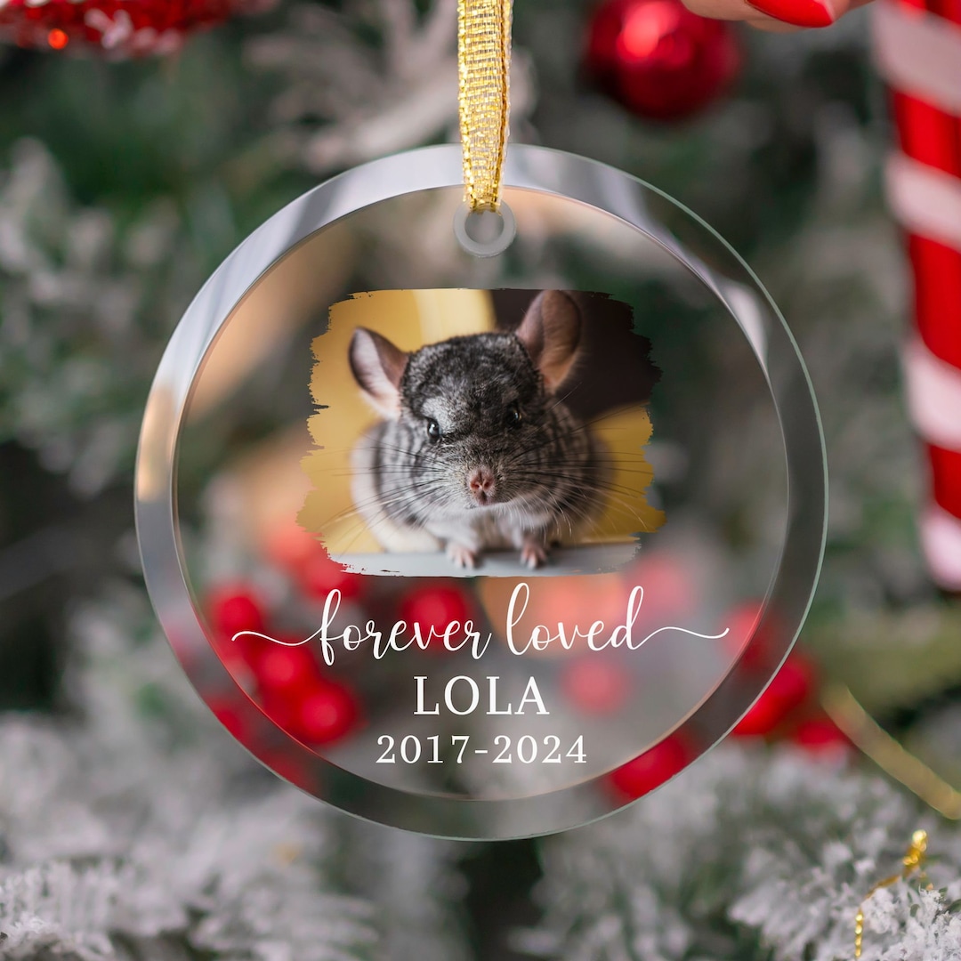 Custom Chinchilla Memorial Ornament, Chinchilla Ornament, Chinchilla ...