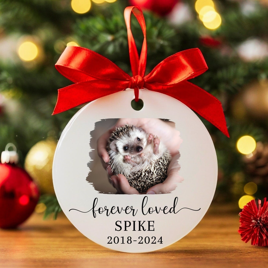 Custom Hedgehog Memorial Ornament, Hedgehog Gifts, Hedgehog Decor ...