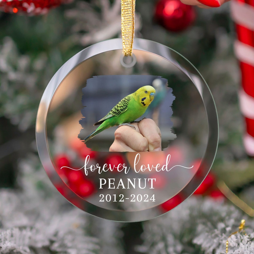 Custom Bird Memorial Ornament, Bird Memorial Gift, Parakeet Memorial ...