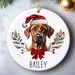 Personalized Rhodesian Ridgeback Christmas Ornament 2023, Custom Dog ...