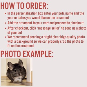 Custom Chinchilla Memorial Ornament, Chinchilla Ornament, Chinchilla ...
