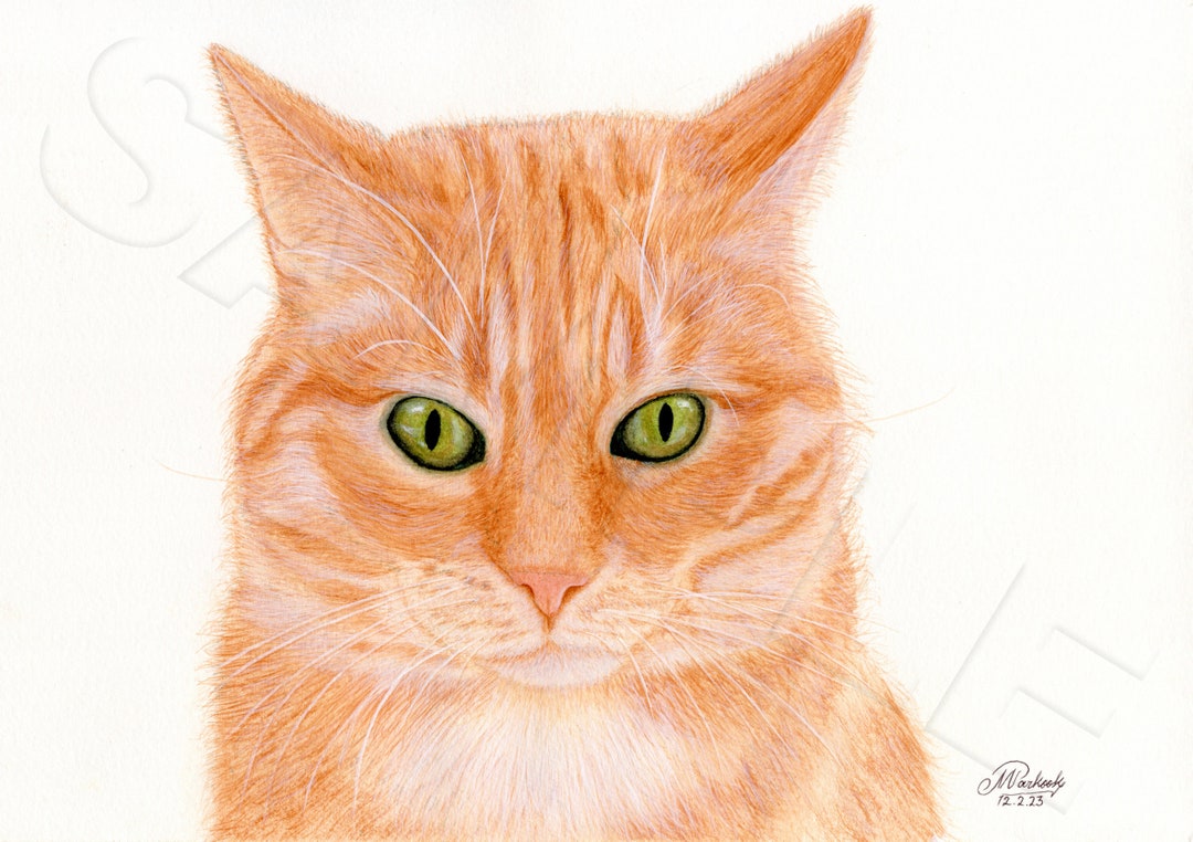 LIMITED PRINT Realistic Cute Ginger Cat Painting With Authentic Signed ...