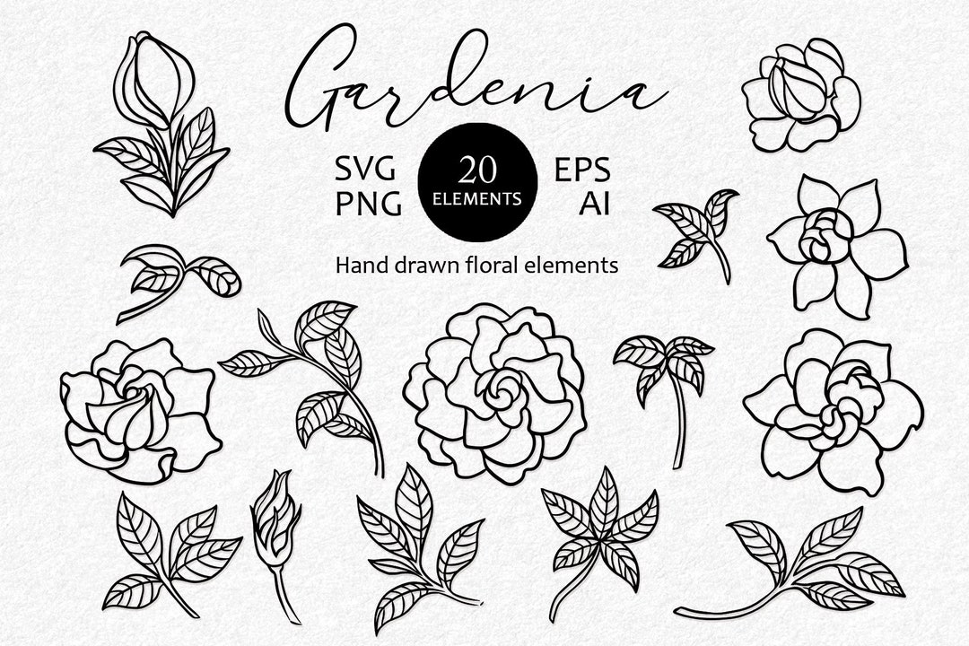 Gardenia Flowers and Leaves SVG for Cricut - Etsy