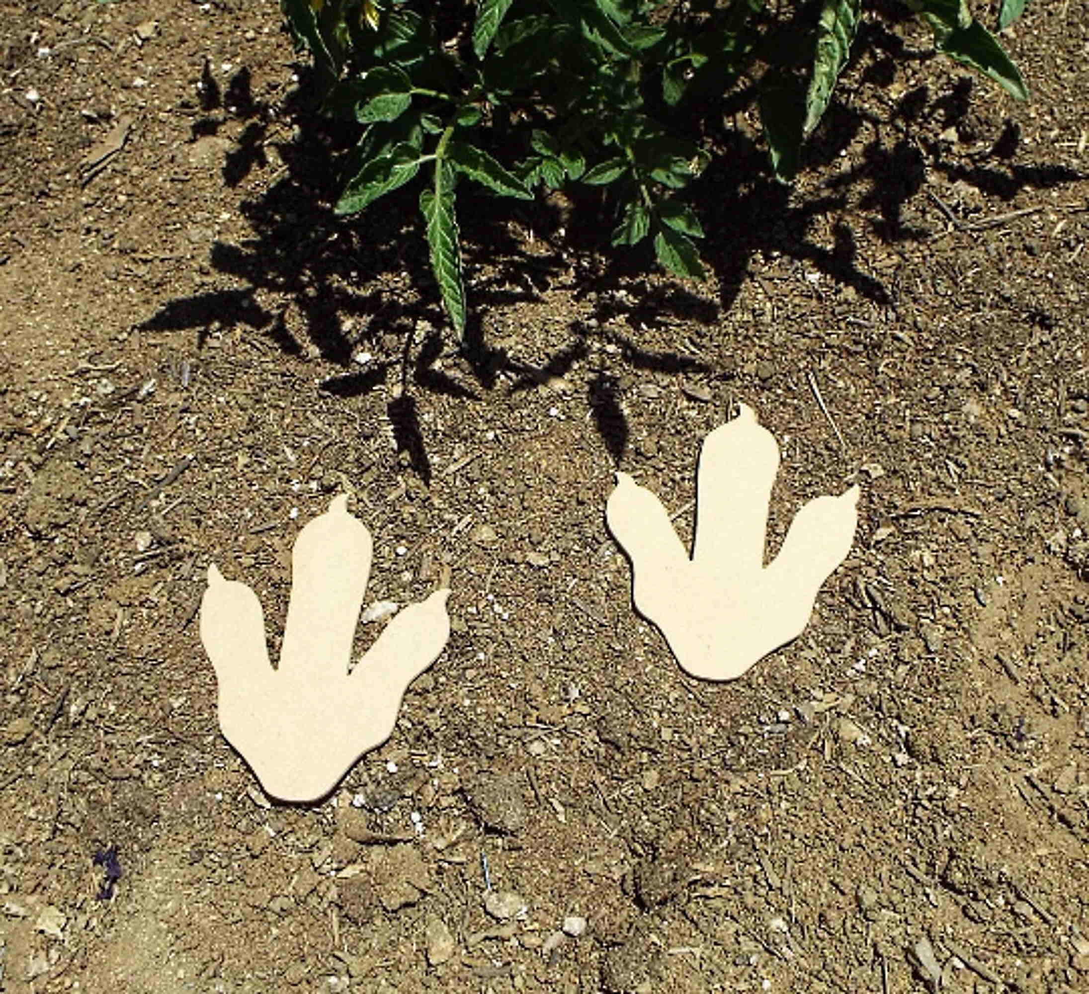 T-rex Dinosaur Footprint / Track Shape - Unfinished Wood Cutout Shapes ...