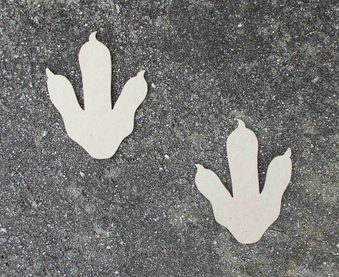 T-rex Dinosaur Footprint / Track Shape - Unfinished Wood Cutout Shapes ...