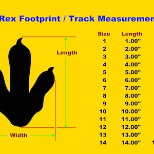 T-rex Dinosaur Footprint / Track Shape - Unfinished Wood Cutout Shapes ...