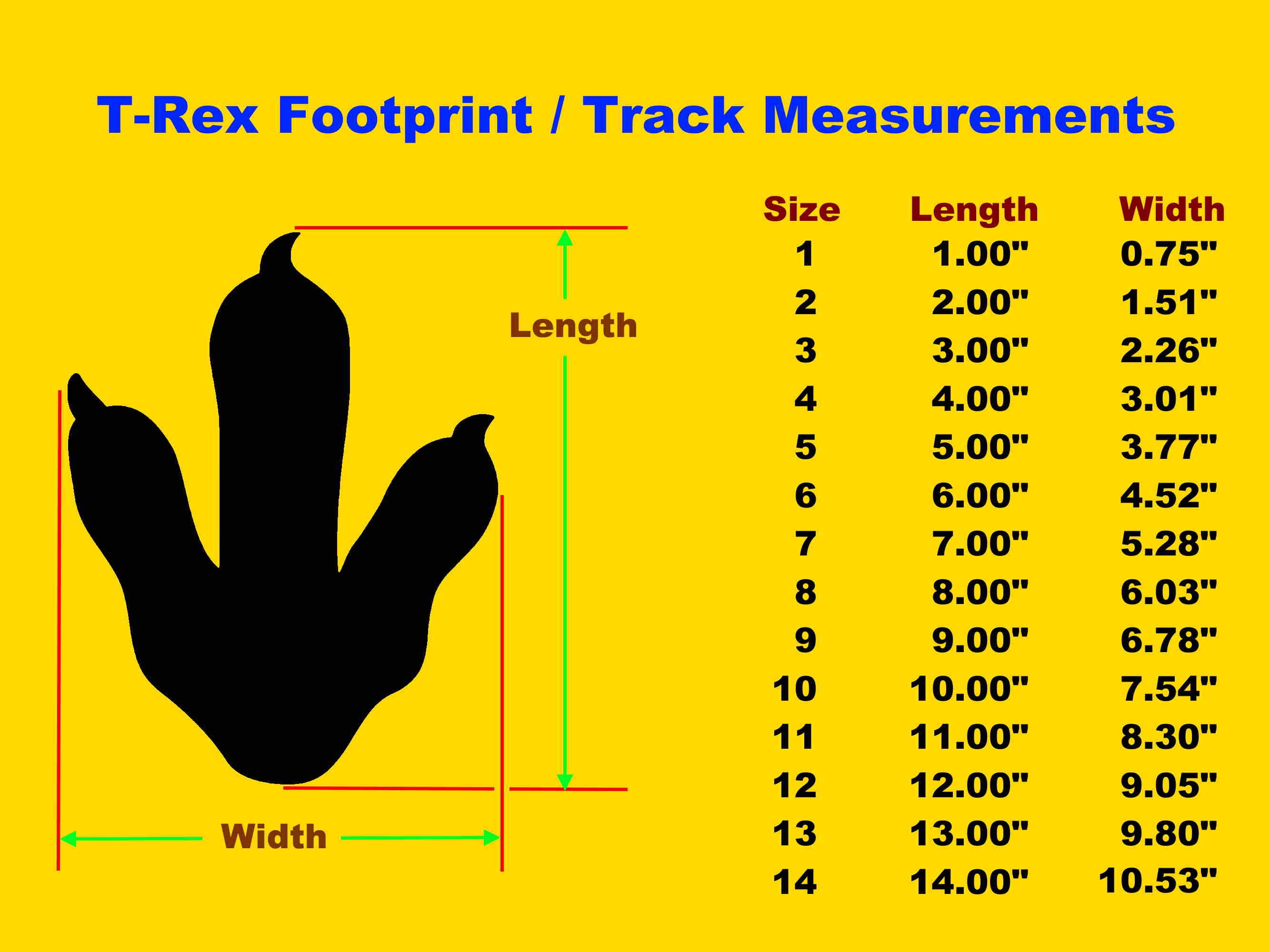 T-rex Dinosaur Footprint / Track Shape - Unfinished Wood Cutout Shapes ...