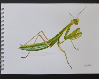 Praying Mantis Figure - Etsy