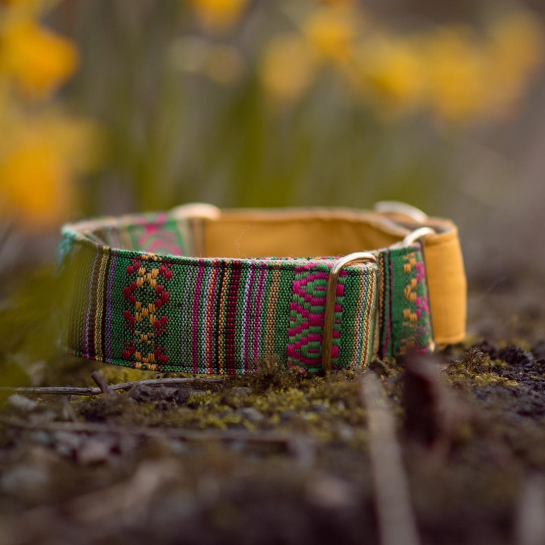 Woven Mexican Martingale Dog Collar: Colourful Green "avani" - Etsy