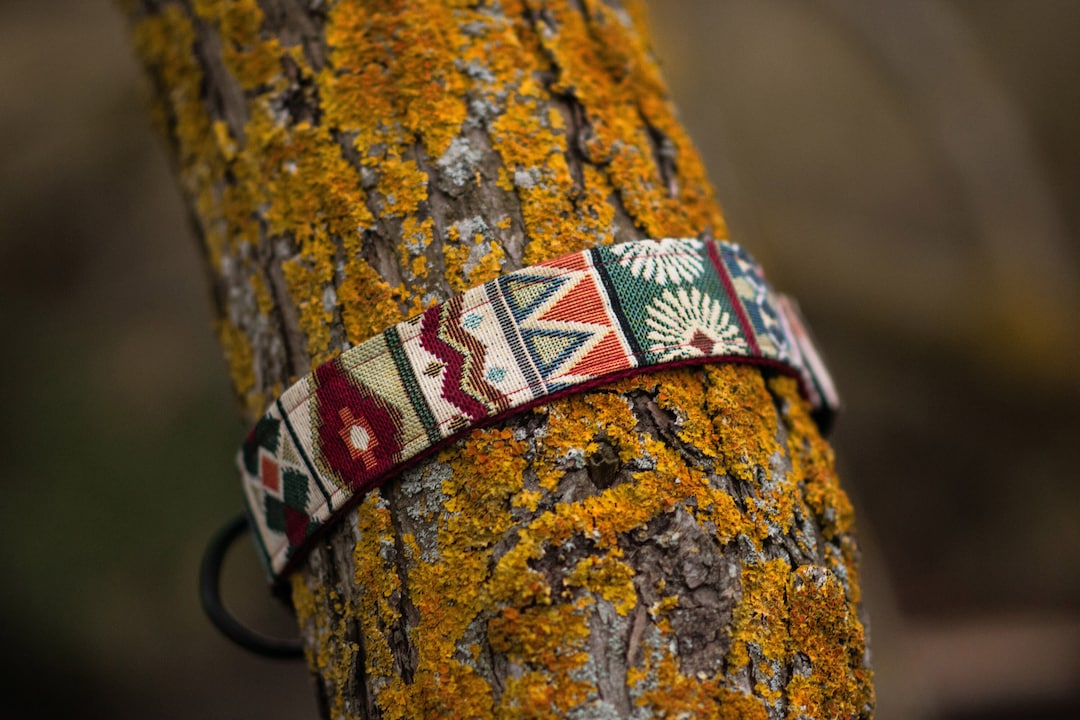 Aztec Dog Collar | Tribal Pet Collar | Boho Wide Martingale Collar for ...