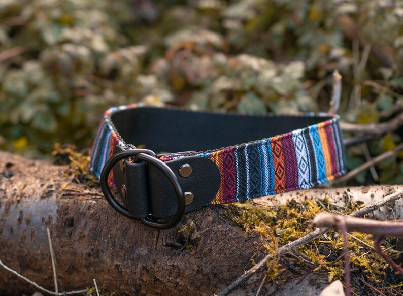Aztec Woven Dog Slip Collar: Boho Biothane Accent "fara" - Etsy