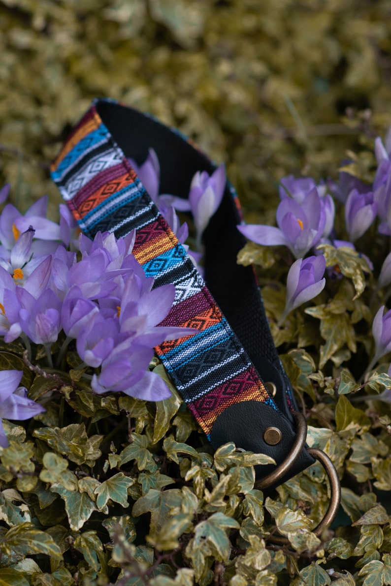 Aztec Woven Dog Slip Collar: Boho Biothane Accent "fara" - Etsy