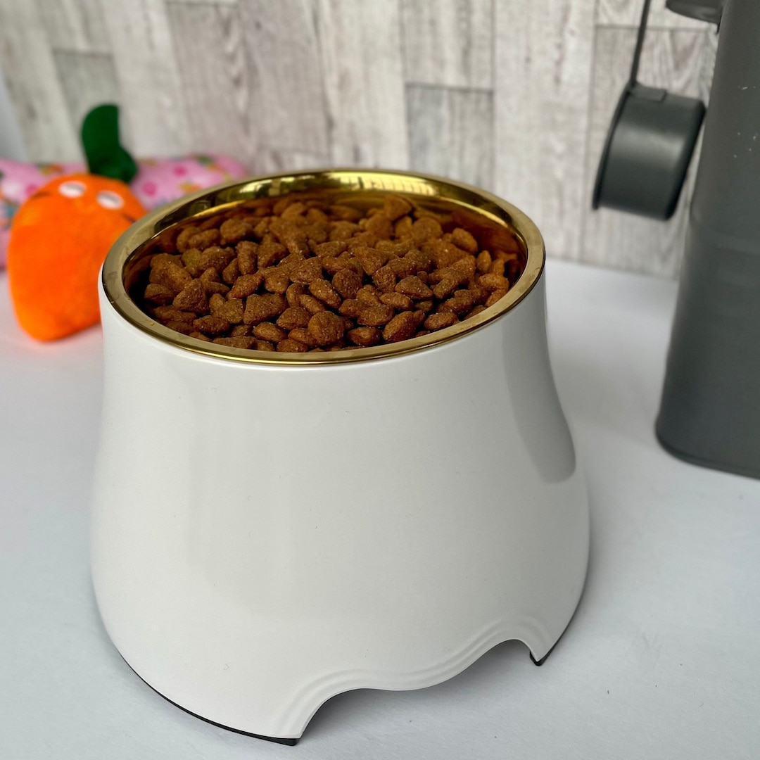 Elevated Raised Dog Pet Bowl White Gold Stainless Steel - Etsy