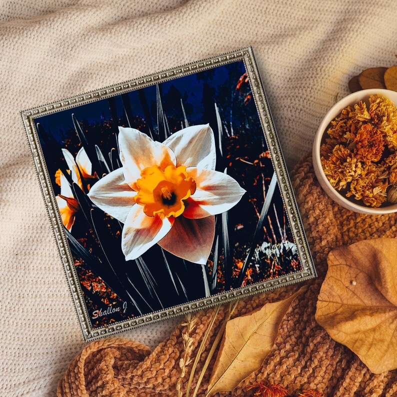 Bluey Dreamsicle - Bright Blue and Orange Flower Photography Wall Art ...
