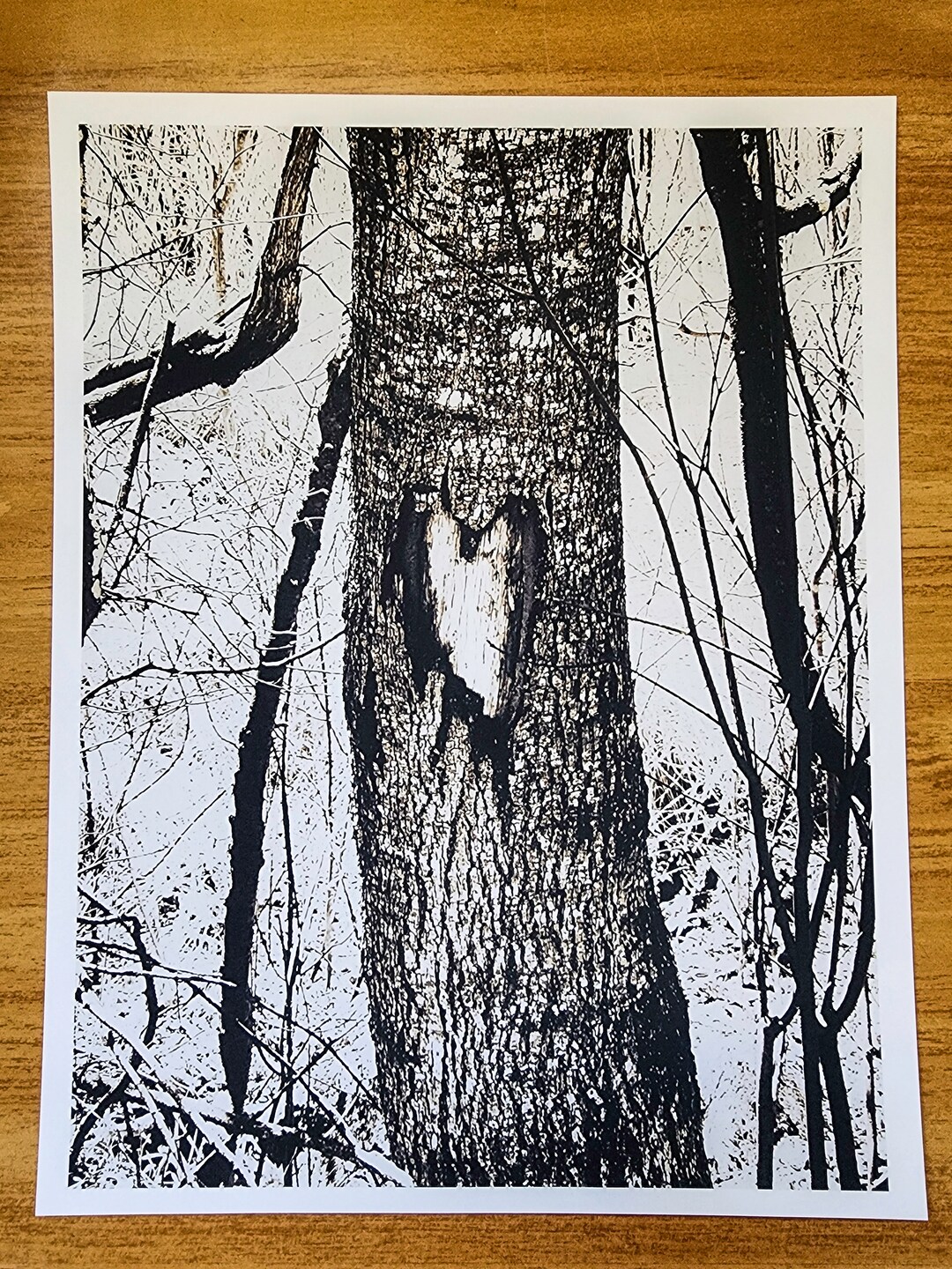 Bleeding Heart Black and White Tree Artist Print Hearts in Nature Art ...