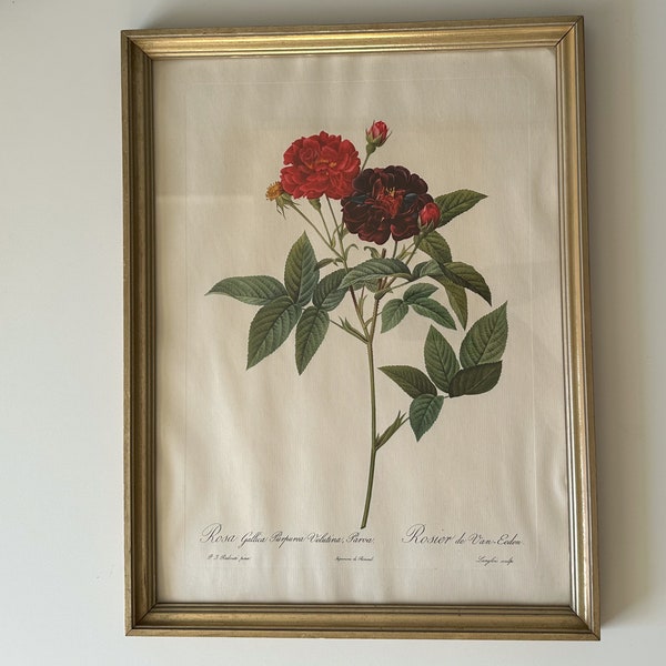 Botanical Rose Print - Etsy