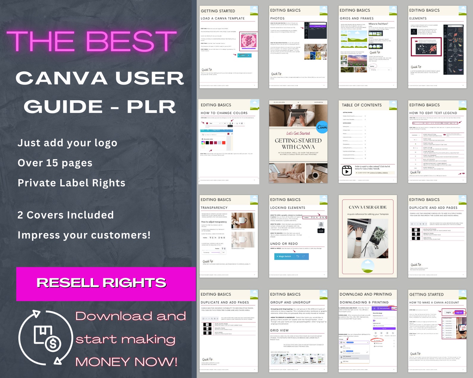 Canva User Guide PLR| Canva PLR Template| Done for You Digital Product ...