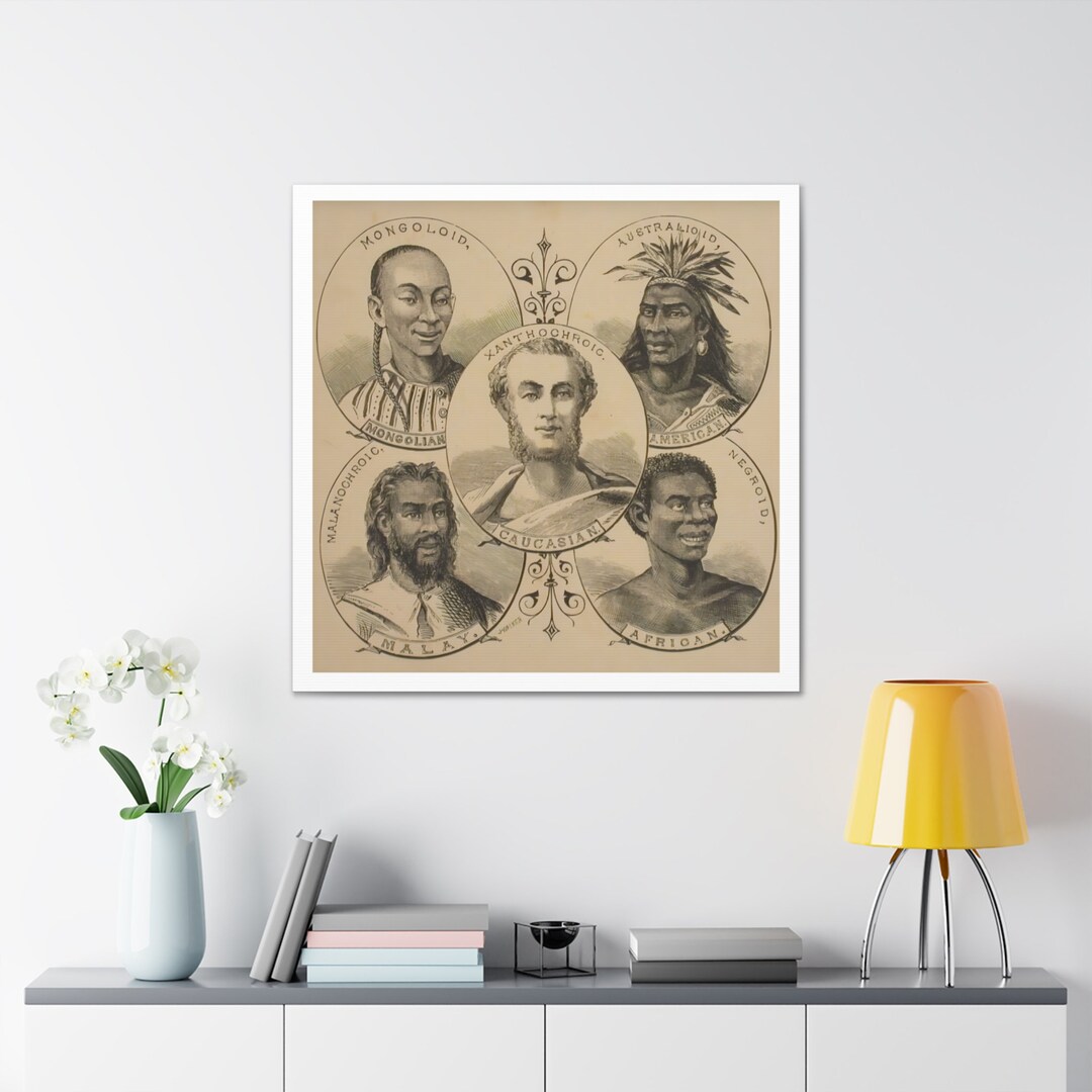 Specimens of the Five Classes of Mankind, 1880 Canvas - Etsy