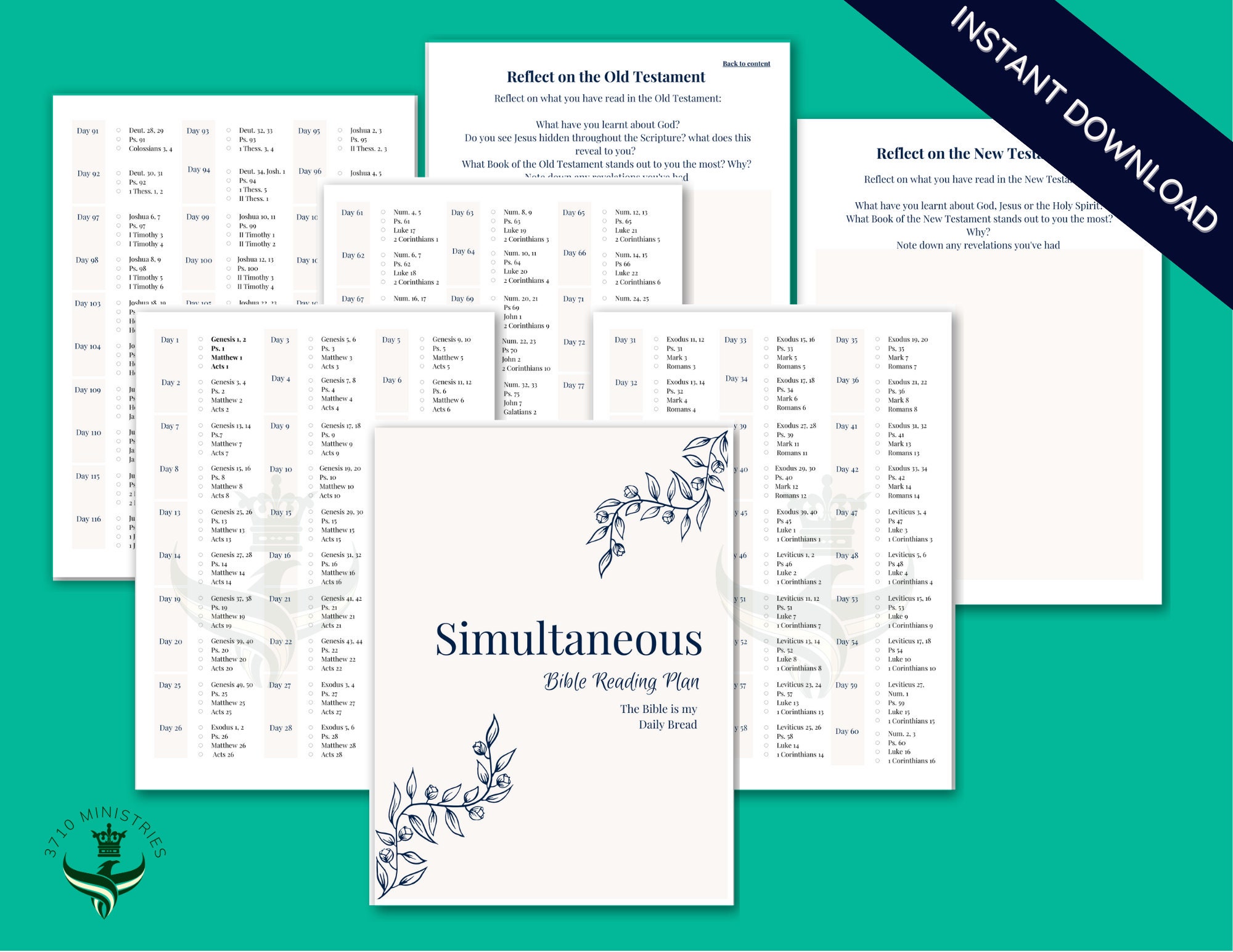 Chronological Bible Reading Plan Printable Bible in Year Plan Old ...
