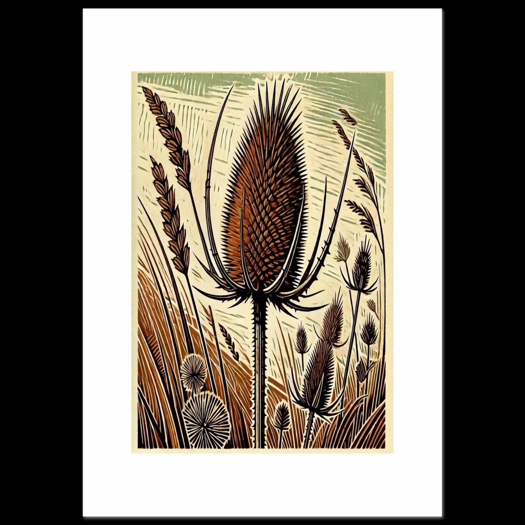 Teasel Botanical Art Print, Spiky Wildflower Illustration - Etsy