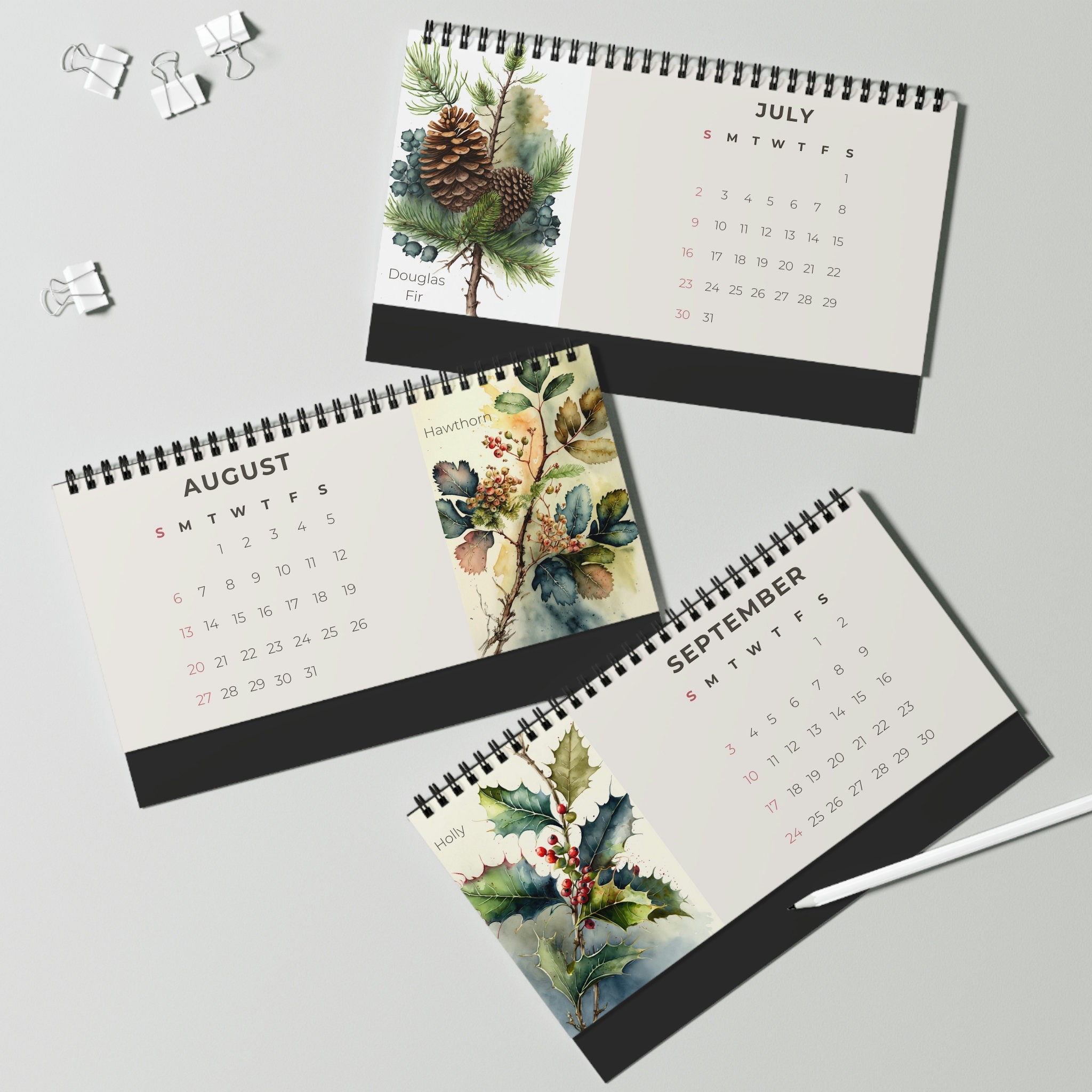 2023 Yule Plants Desk Calendar Cards Woodland Yule Plants Desk Calendar ...