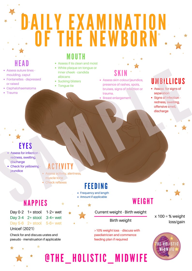 Daily Examination of the Newborn Revision Poster - Etsy