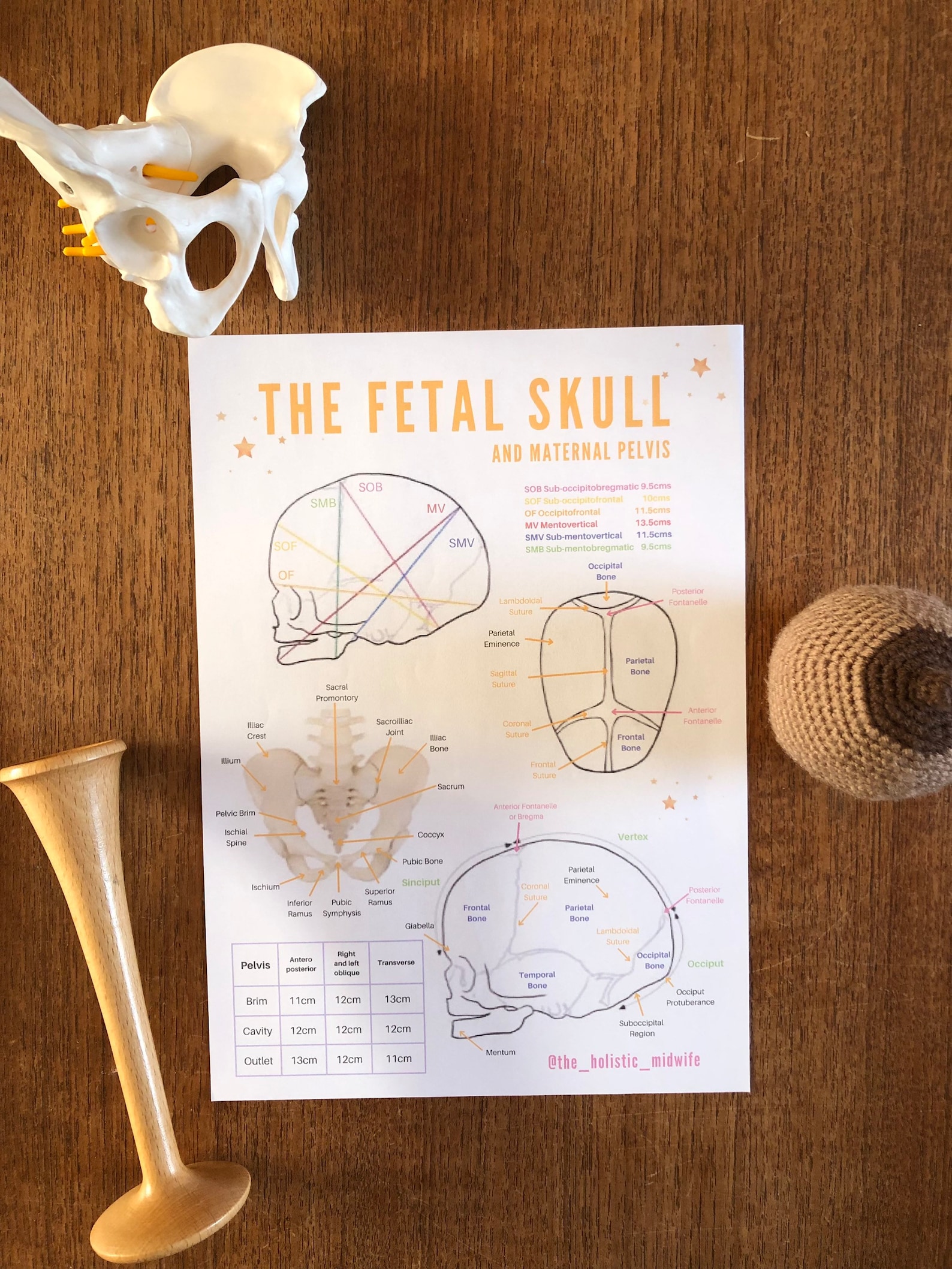 Fetal Skull and Maternal Pelvis Revision Poster - Etsy