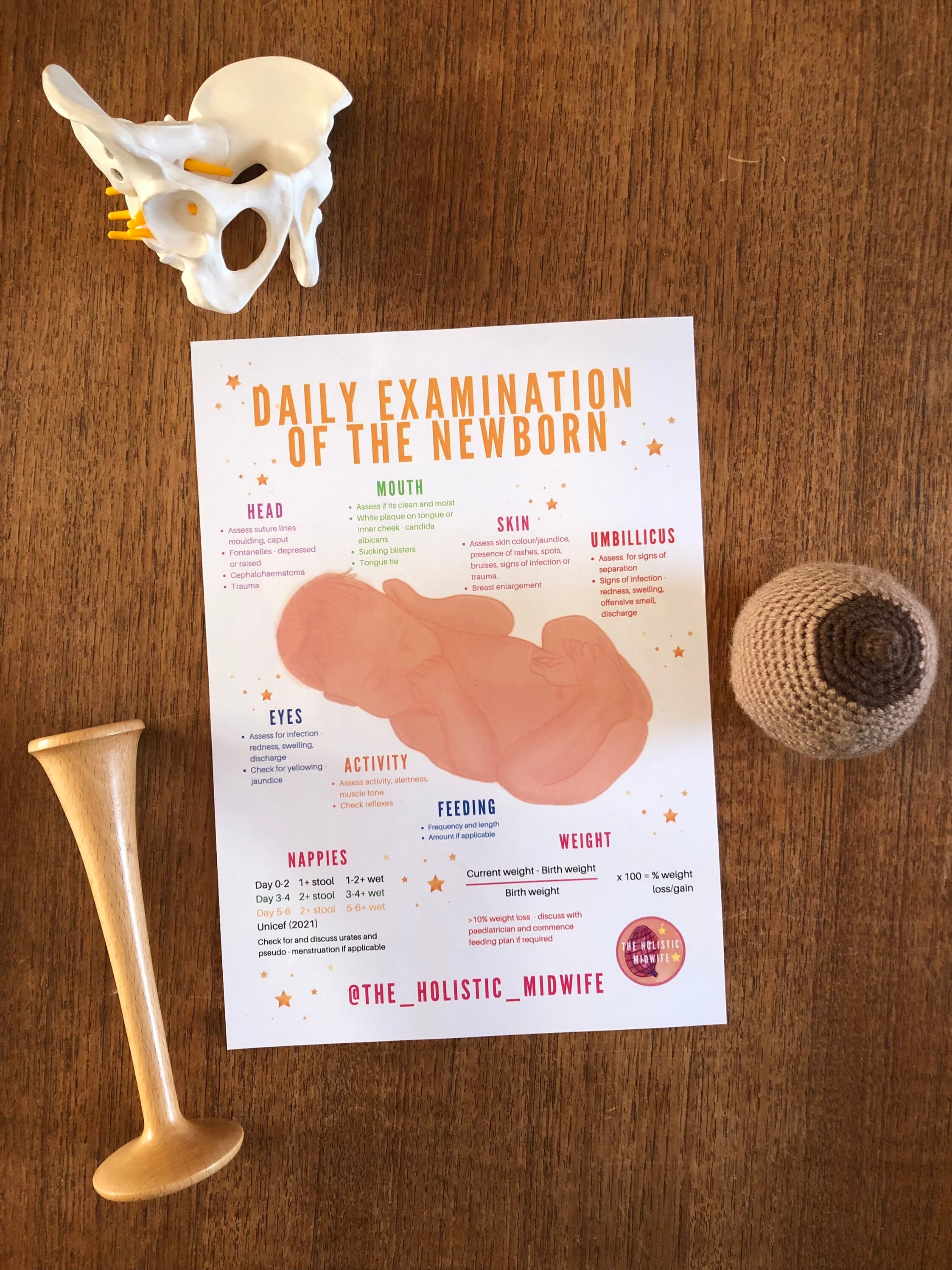 Daily Examination of the Newborn Revision Poster - Etsy
