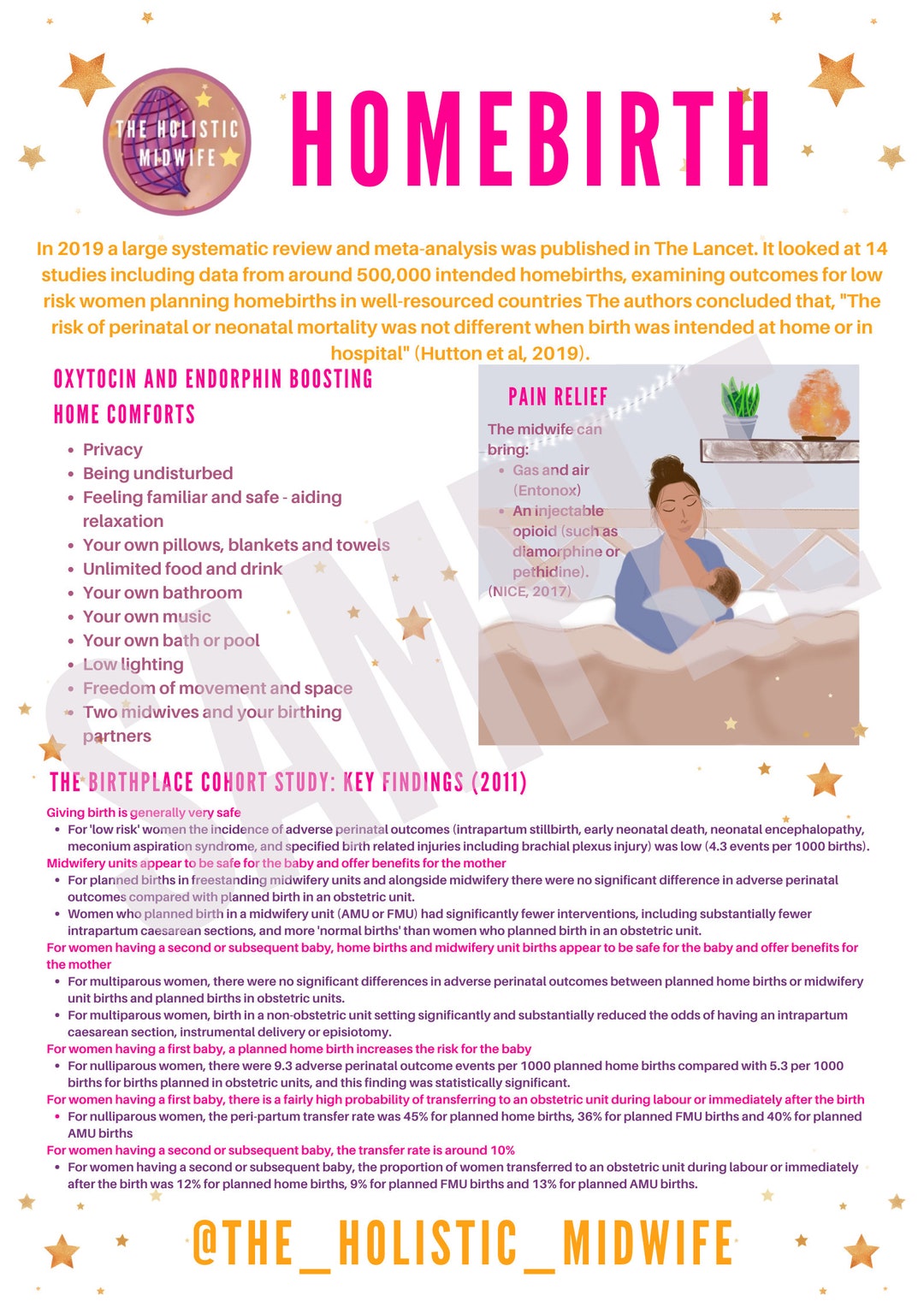 Homebirth Revision Poster - Etsy