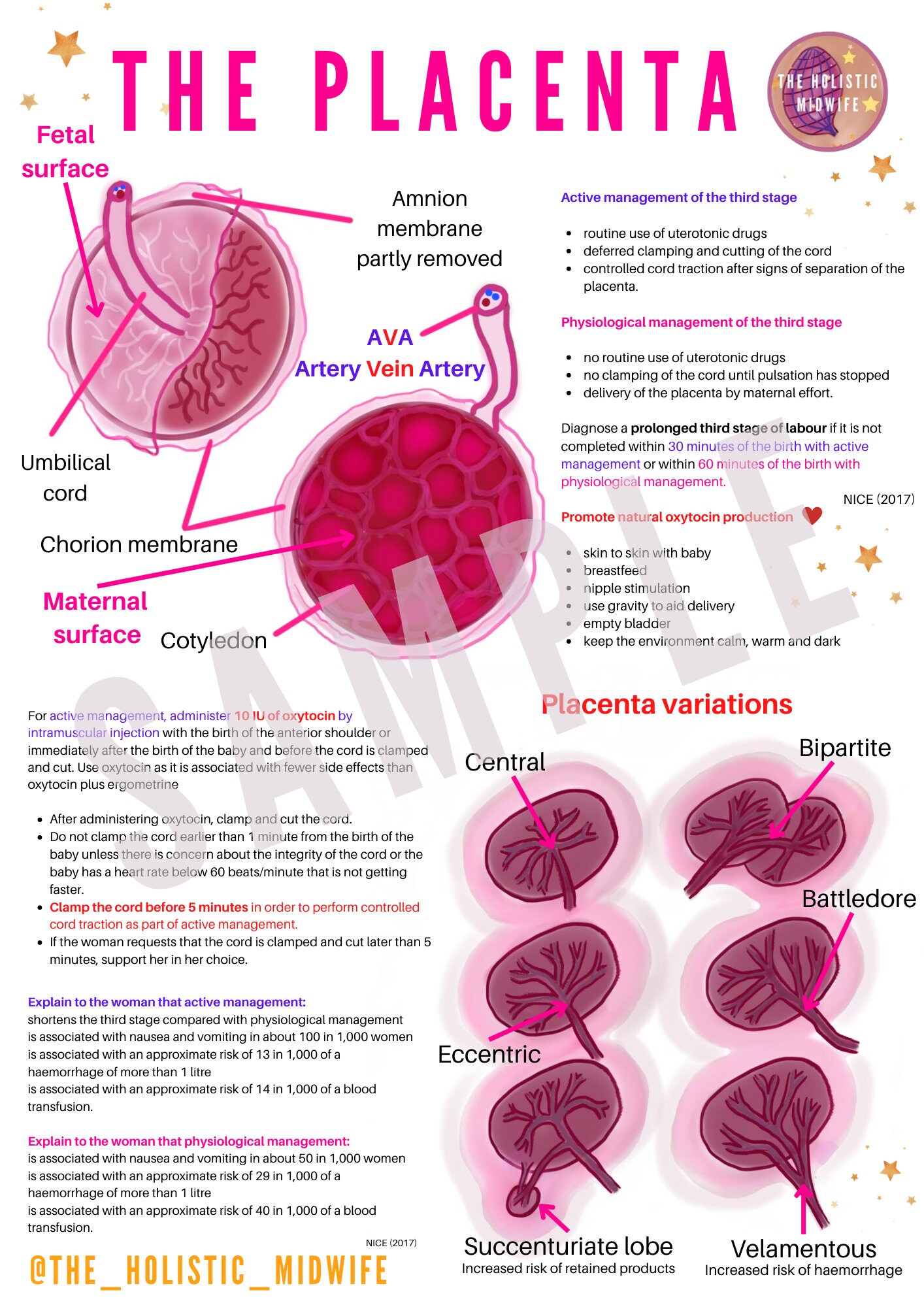 Placenta Bipartite