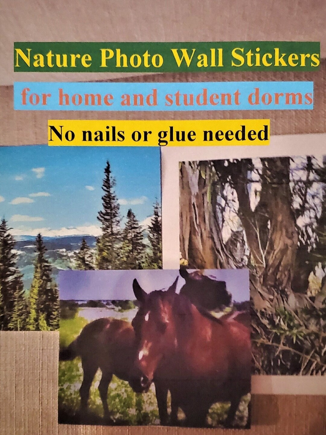 Nature Photo Wall Stickers Will Brighten Any Room Get 3 Large Stickers ...